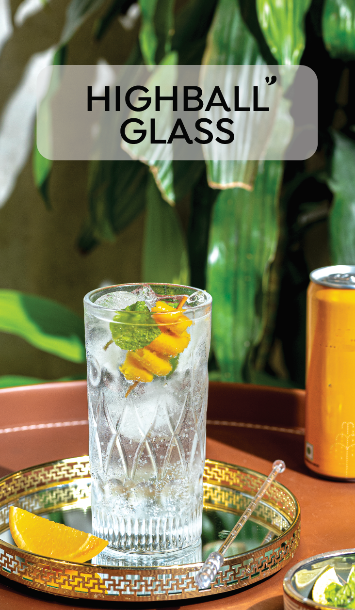 Sipologie Collins Highball Glasses: Elegance Meets Versatility